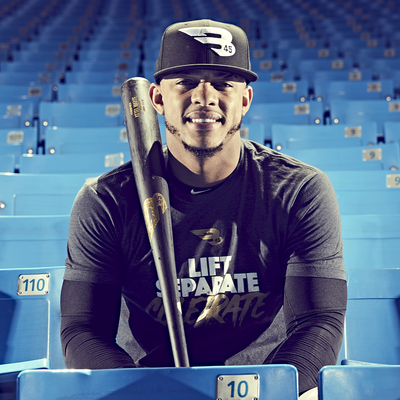 B45 Baseball - Yellow Birch Baseball Bats and Baseball Equipment